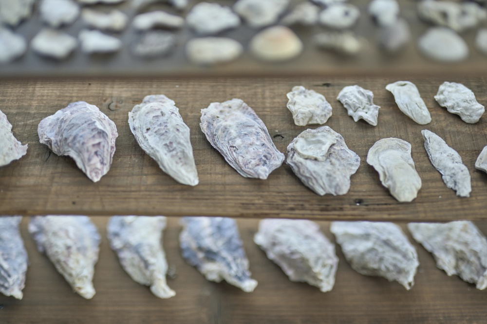 Shooshie Sulaiman – Tomio Koyama Gallery 小山登美夫ギャラリー