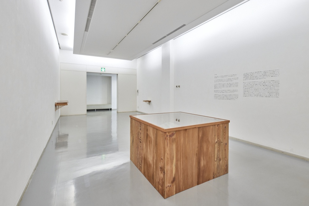 Shooshie Sulaiman – Tomio Koyama Gallery 小山登美夫ギャラリー