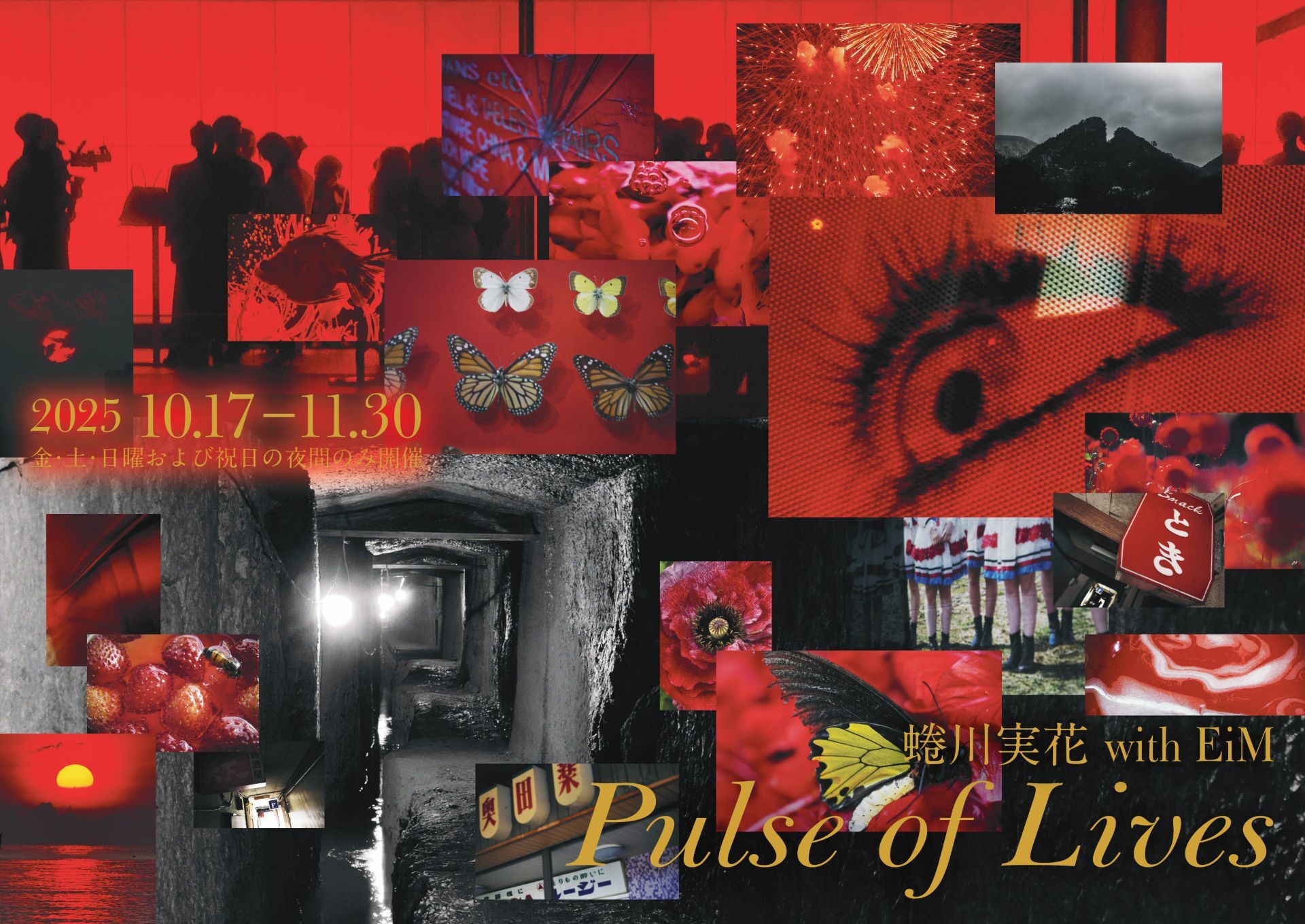Mika Ninagawa with EiM “Pulse of Lives” Historic Site Sado Gold Mine ...